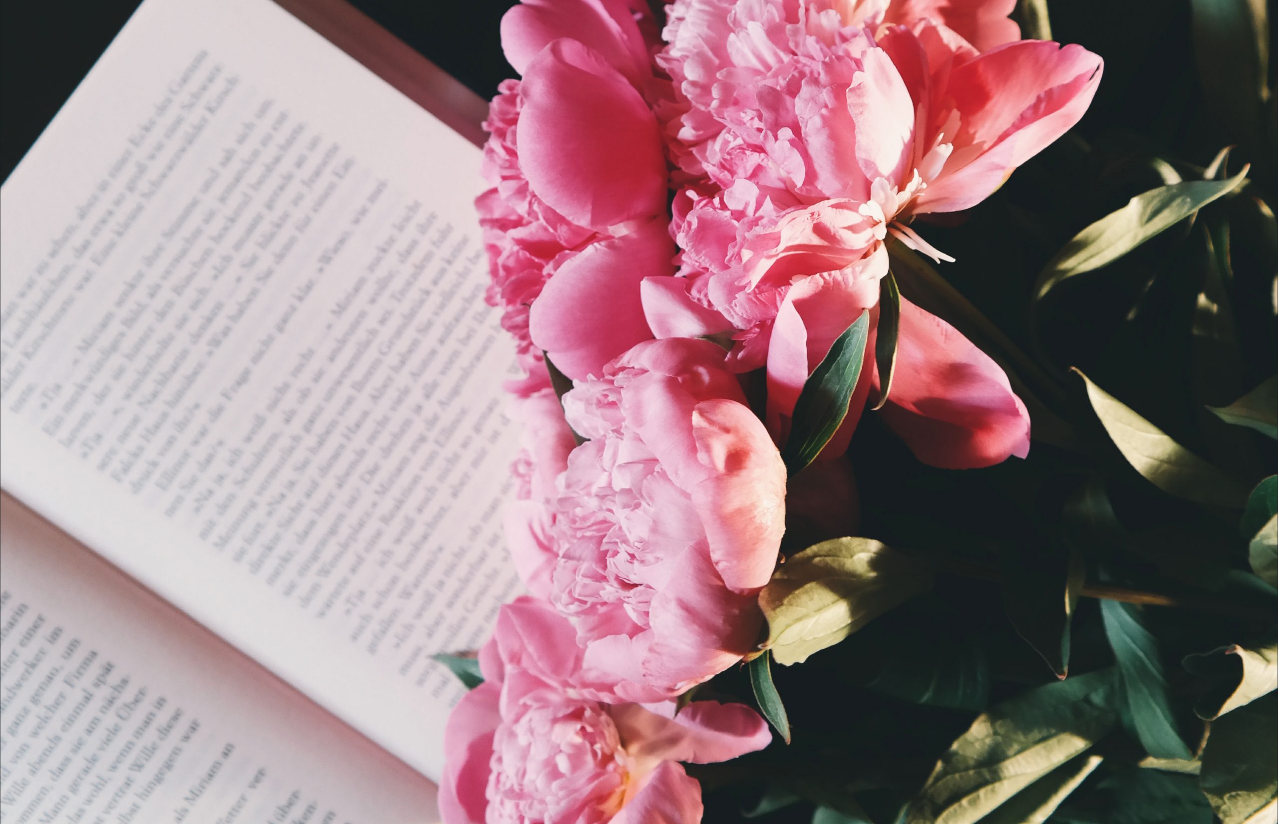 Monroe County Library System | Monroe County Library System